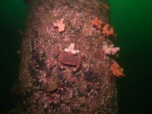 30 years at Glensanda Super Quarry - Wallace Stone