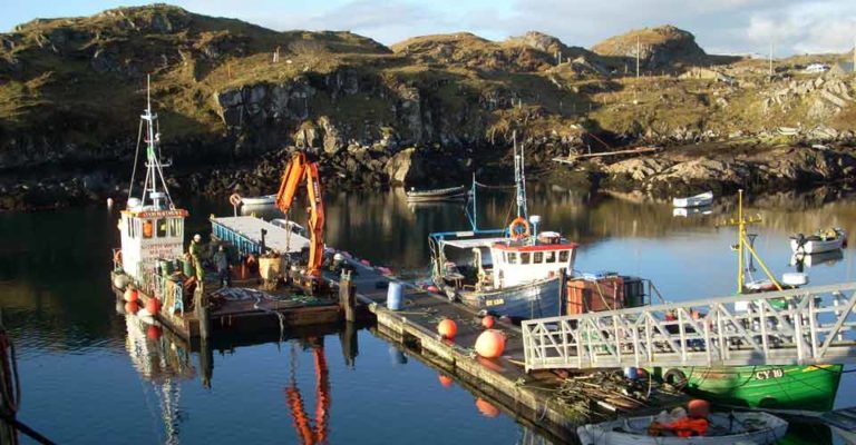 Pontoon Schemes - Wallace Stone