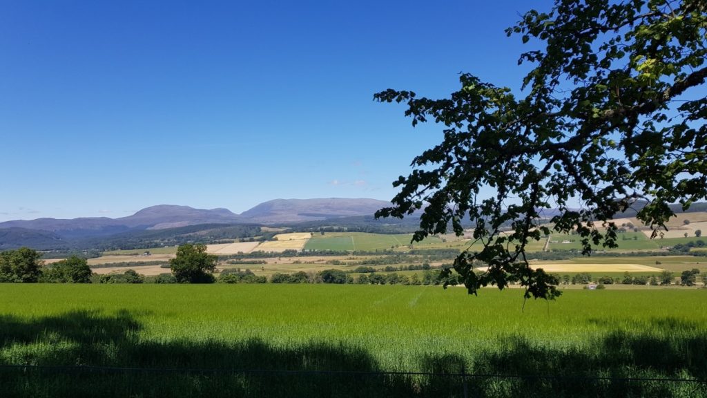 Vacancies - Wallace Stone